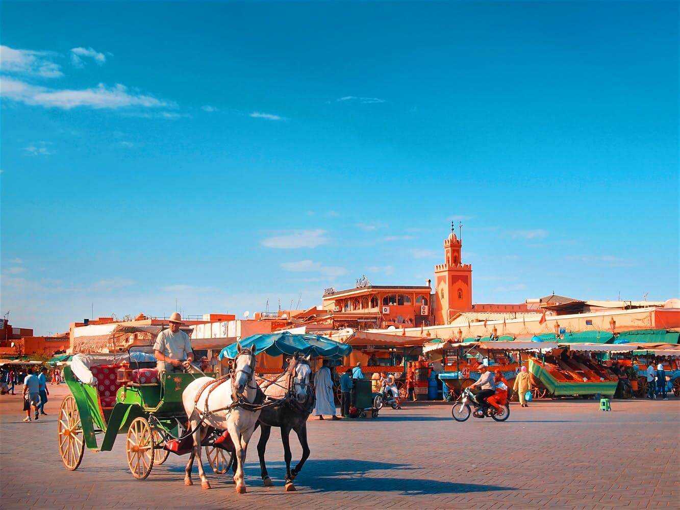 Les calèches de Marrakech ont besoin de vous ! | La Tribune de Marrakech